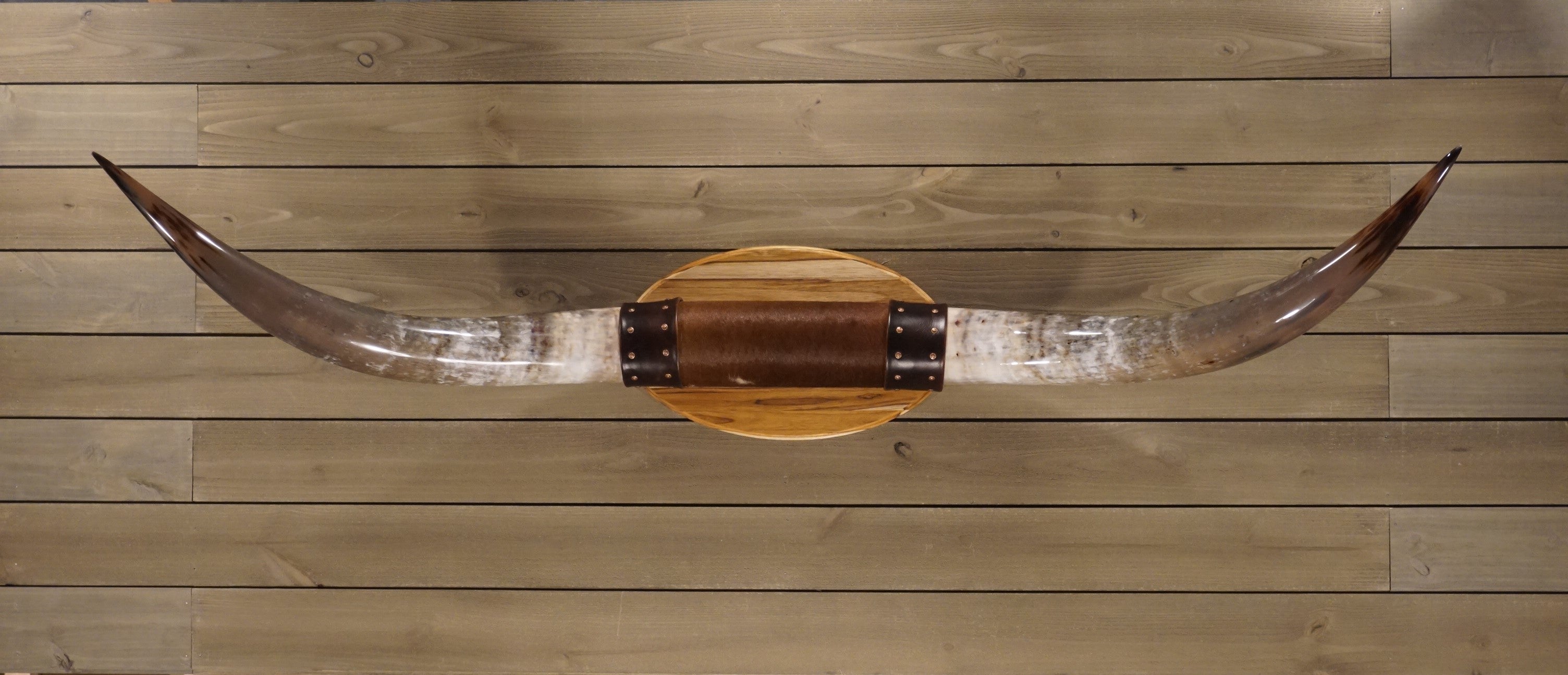 OxBow Builds Longhorn Wall Mounts and Western Decor – Oxbow Builds