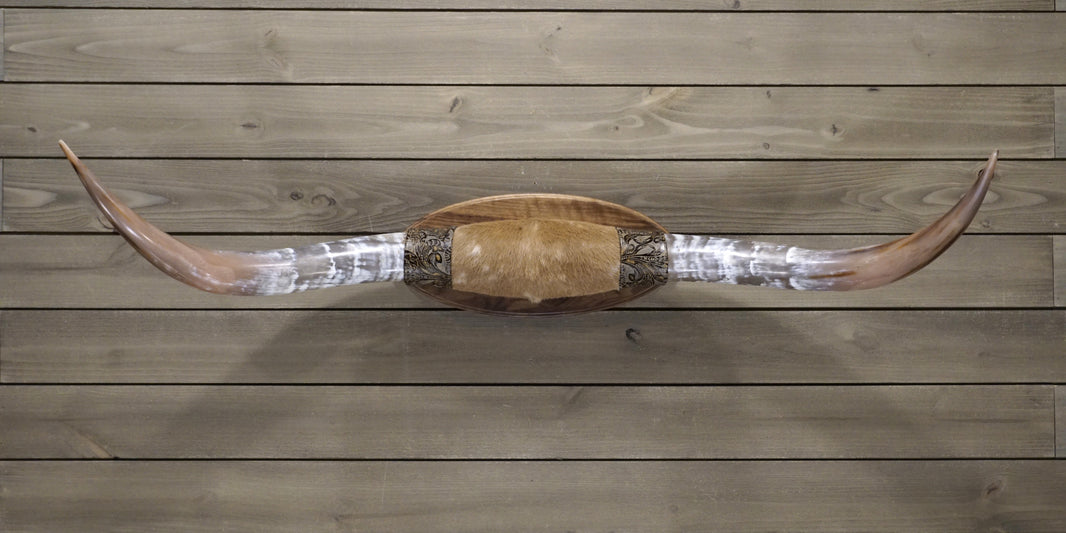 OxBow Builds Longhorn Wall Mounts and Western Decor – Oxbow Builds